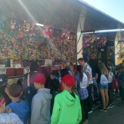 Nativity of Our Lord School - Saint-Paul.com