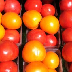 Aldrich Arena Farmers Market - Saint-Paul.com